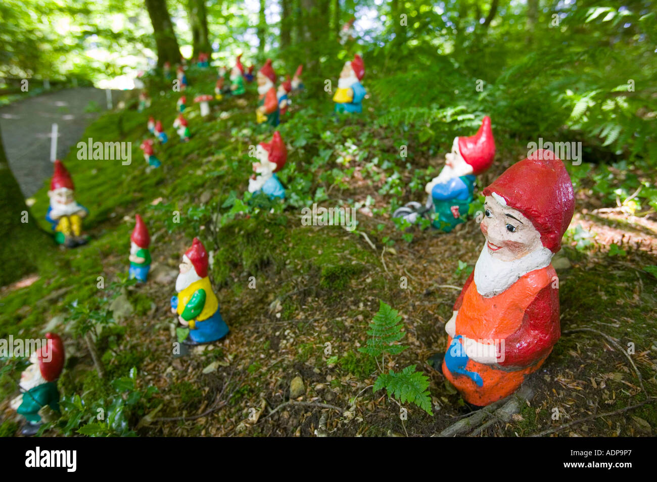 Gnomes at theWest Putnam gnome reserve, Devon, UK Stock Photo - Alamy