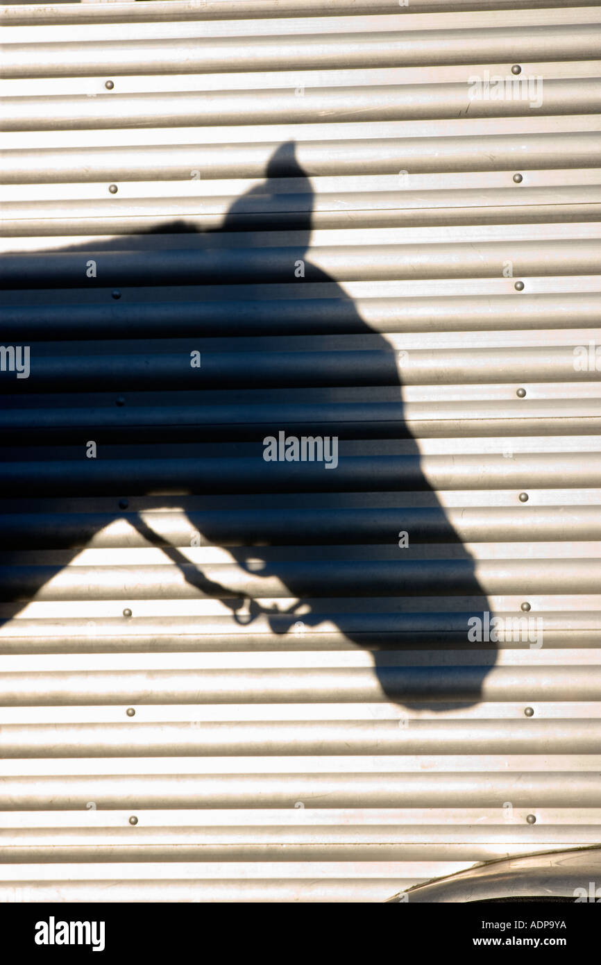 Horse reins hi-res stock photography and images - Alamy