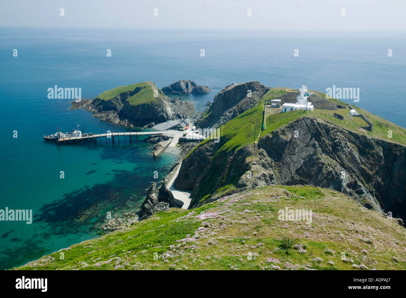 coastal scenery on Lundy island, Devon, UK Stock Photo - Alamy