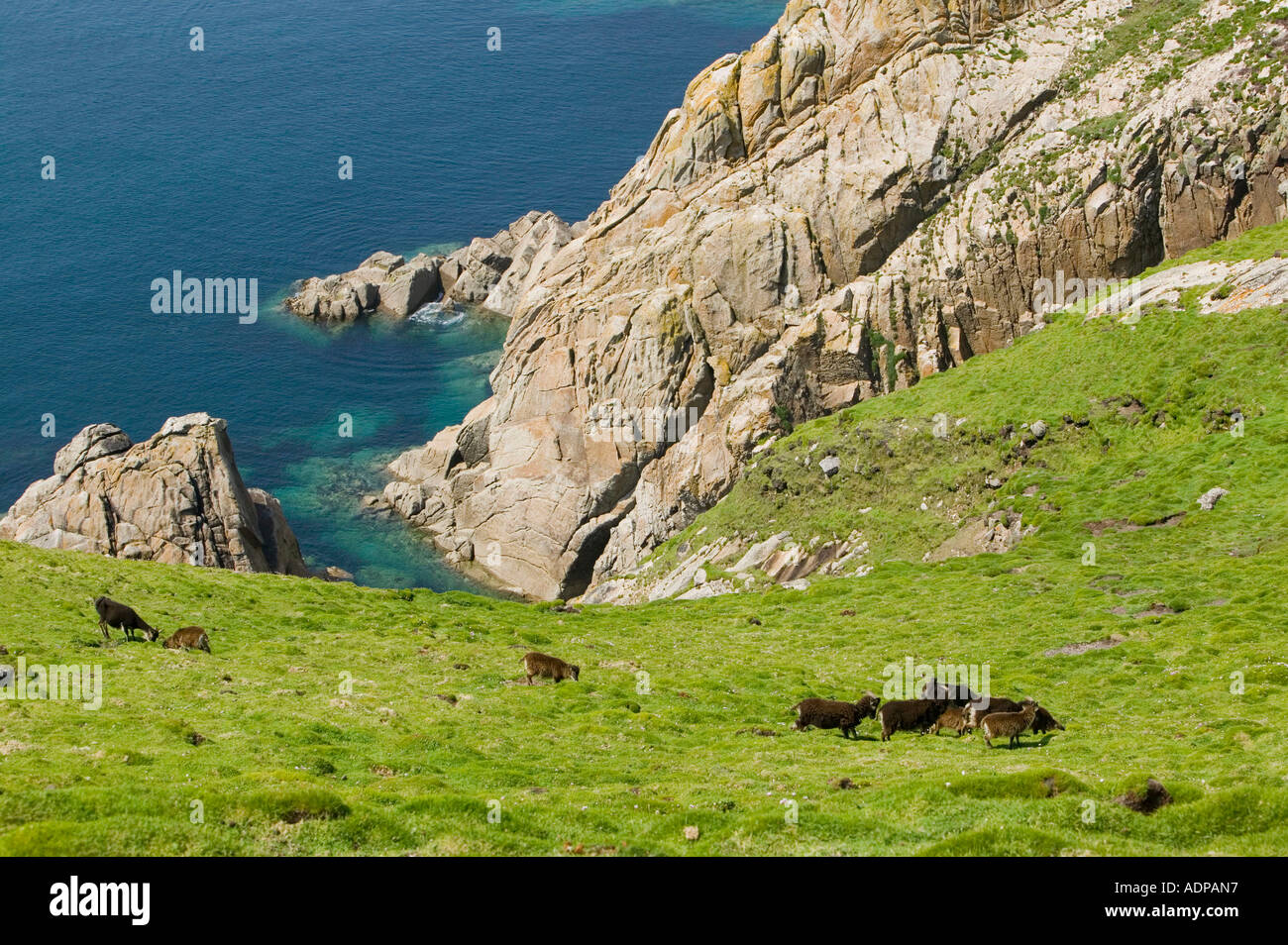 Lundy island sea cliff climb hi-res stock photography and images - Alamy