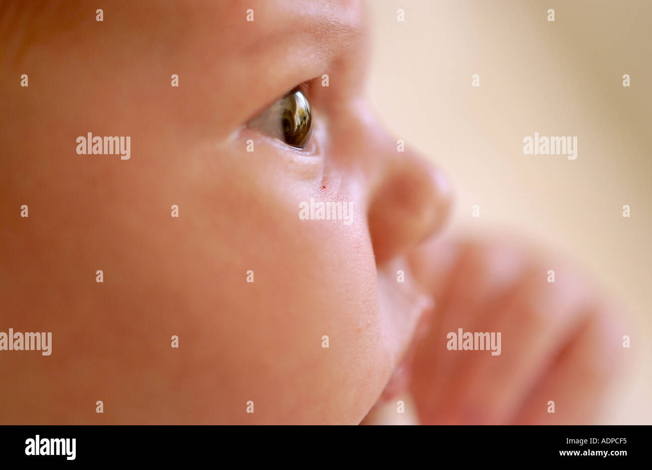 Baby portrait en profile Stock Photo - Alamy