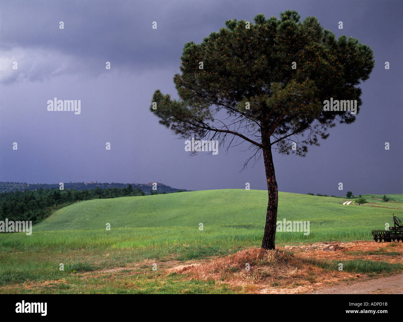 Pin parasol hi-res stock photography and images - Alamy