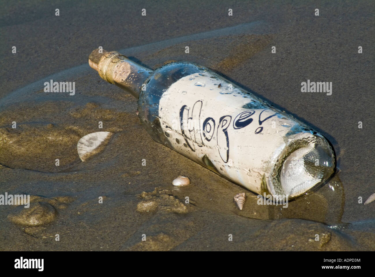 Message of hope in a bottle washed up on a sandy beach Stock Photo - Alamy