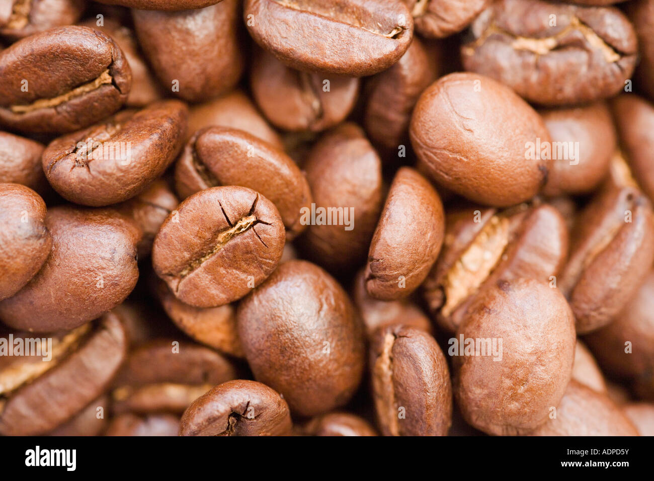 Kelly bean hi-res stock photography and images - Alamy
