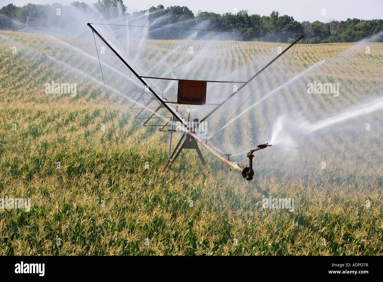 Albion Michigan Irrigation of a corn field in southern Michigan Stock ...