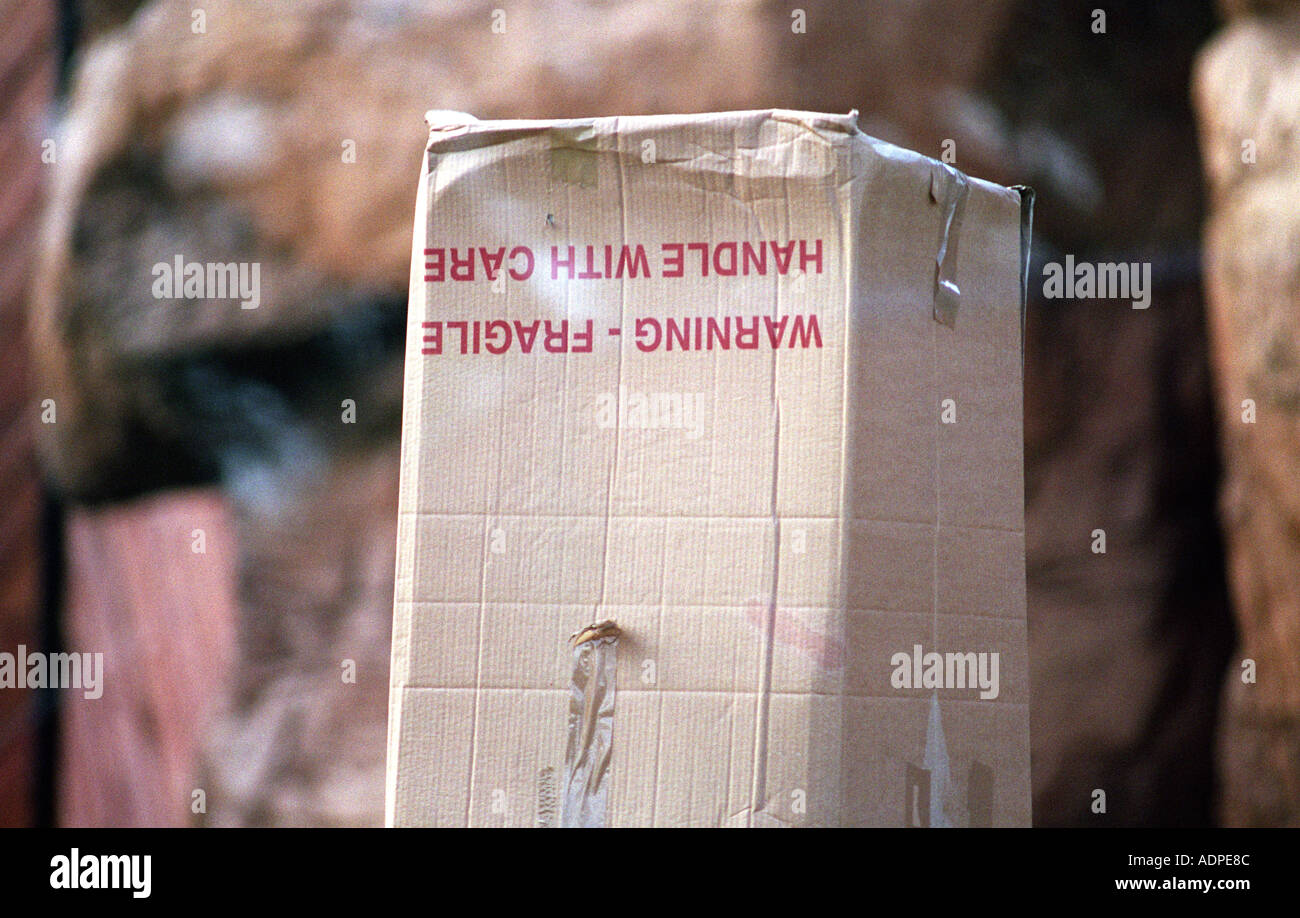 Cardboard box in the lions den Stock Photo - Alamy