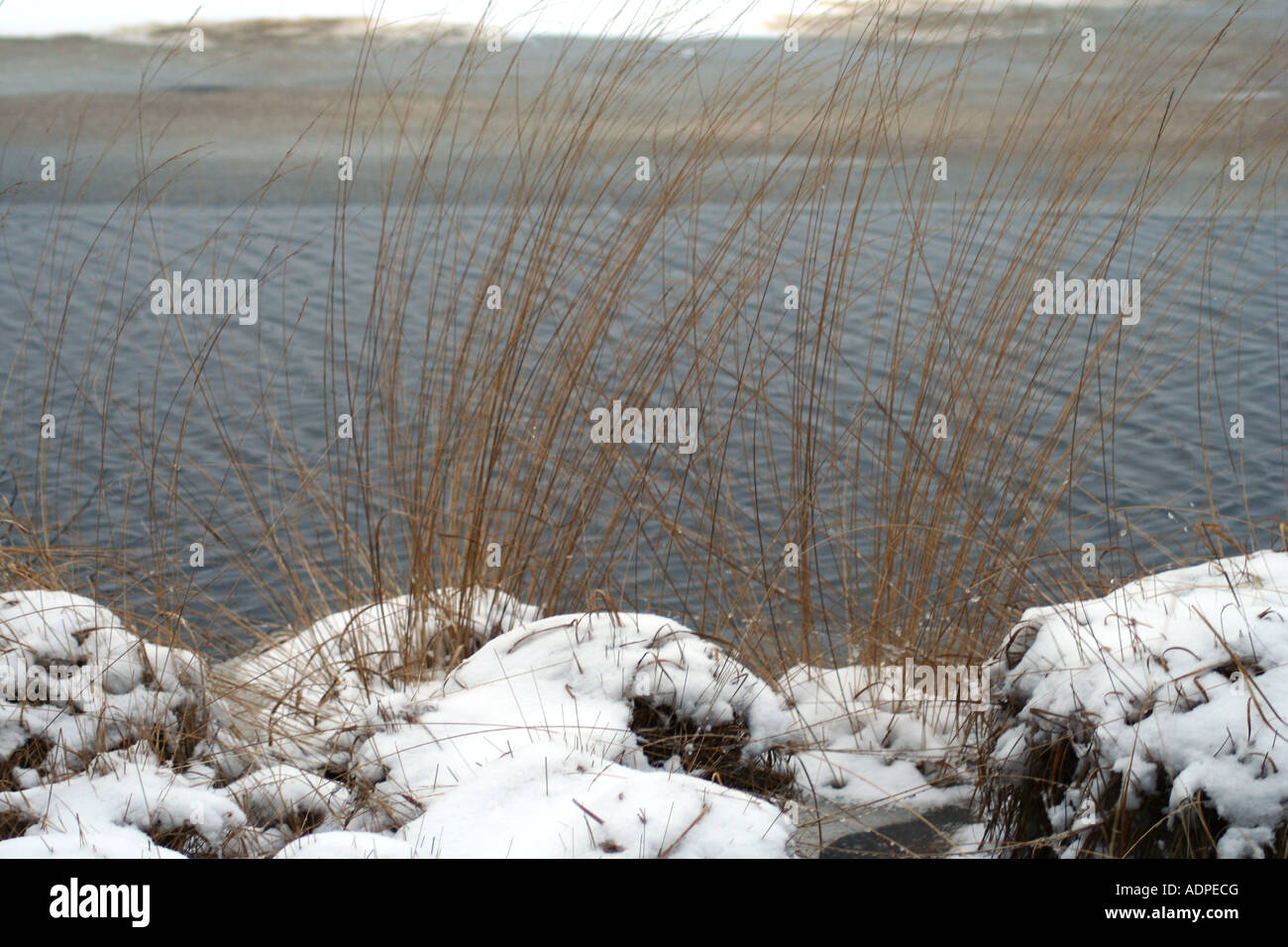 Lake border with snow covered landscape Stock Photo - Alamy