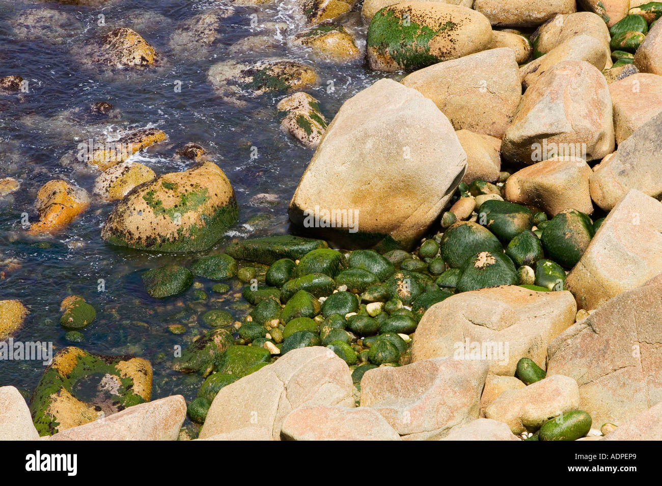 Granite boulders near Zennor, cornwall, UK Stock Photo - Alamy