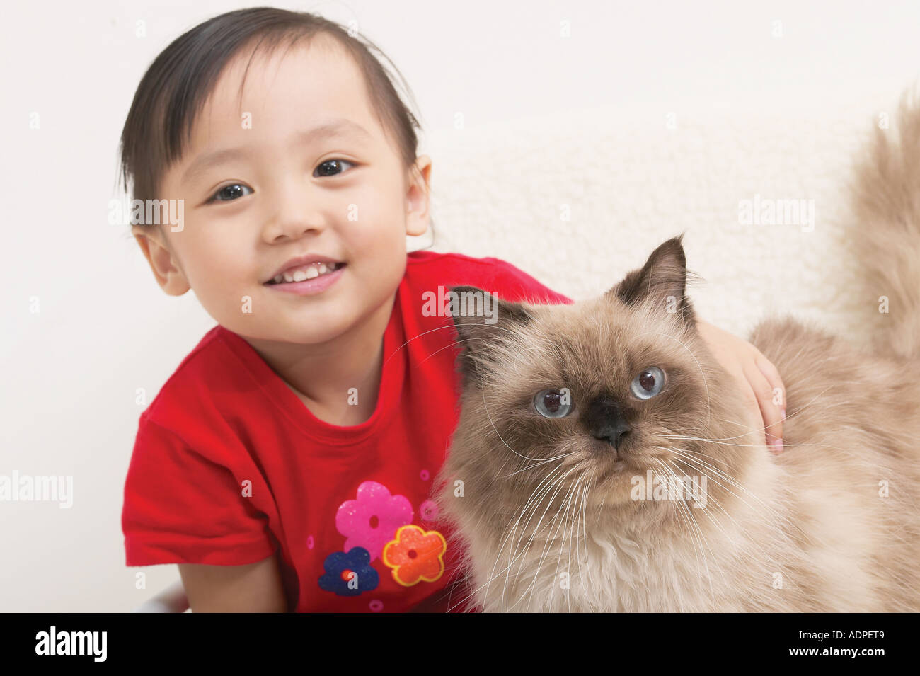 Cat 3 4 view hi-res stock photography and images - Alamy