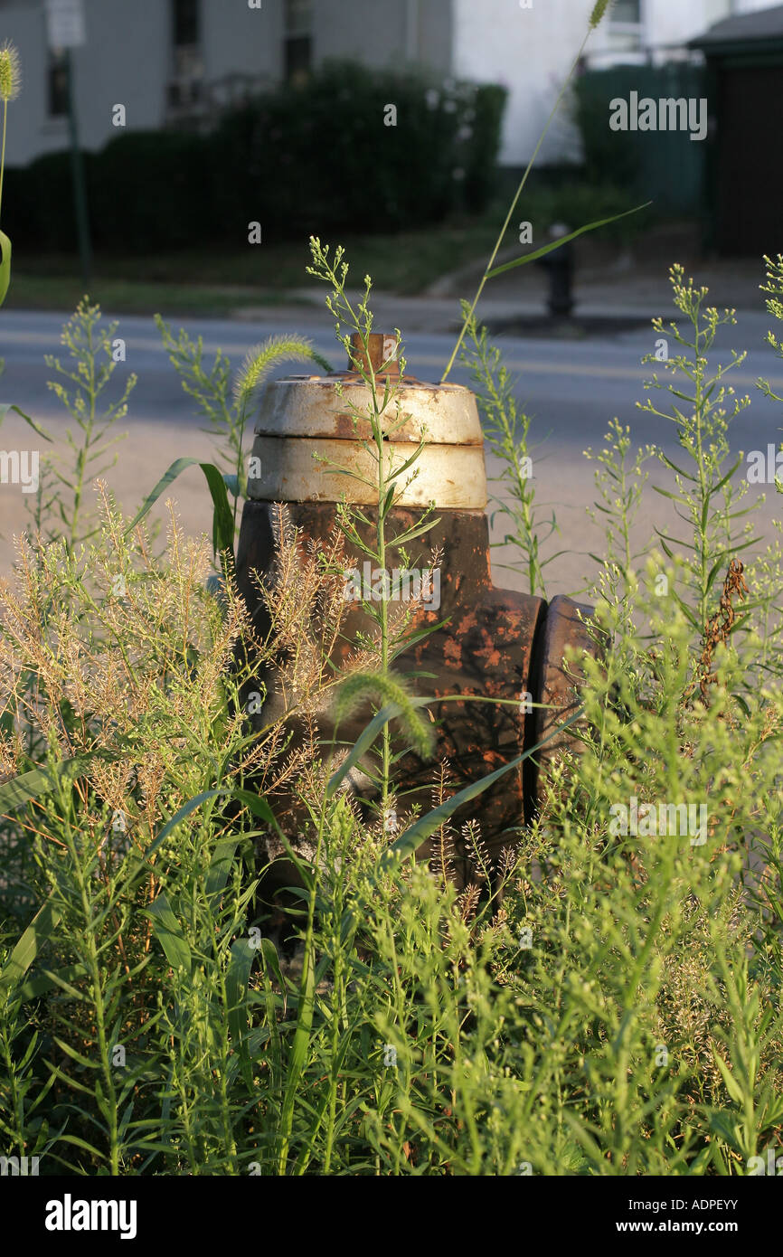 Brooklyn street fire hydrant hi-res stock photography and images - Alamy