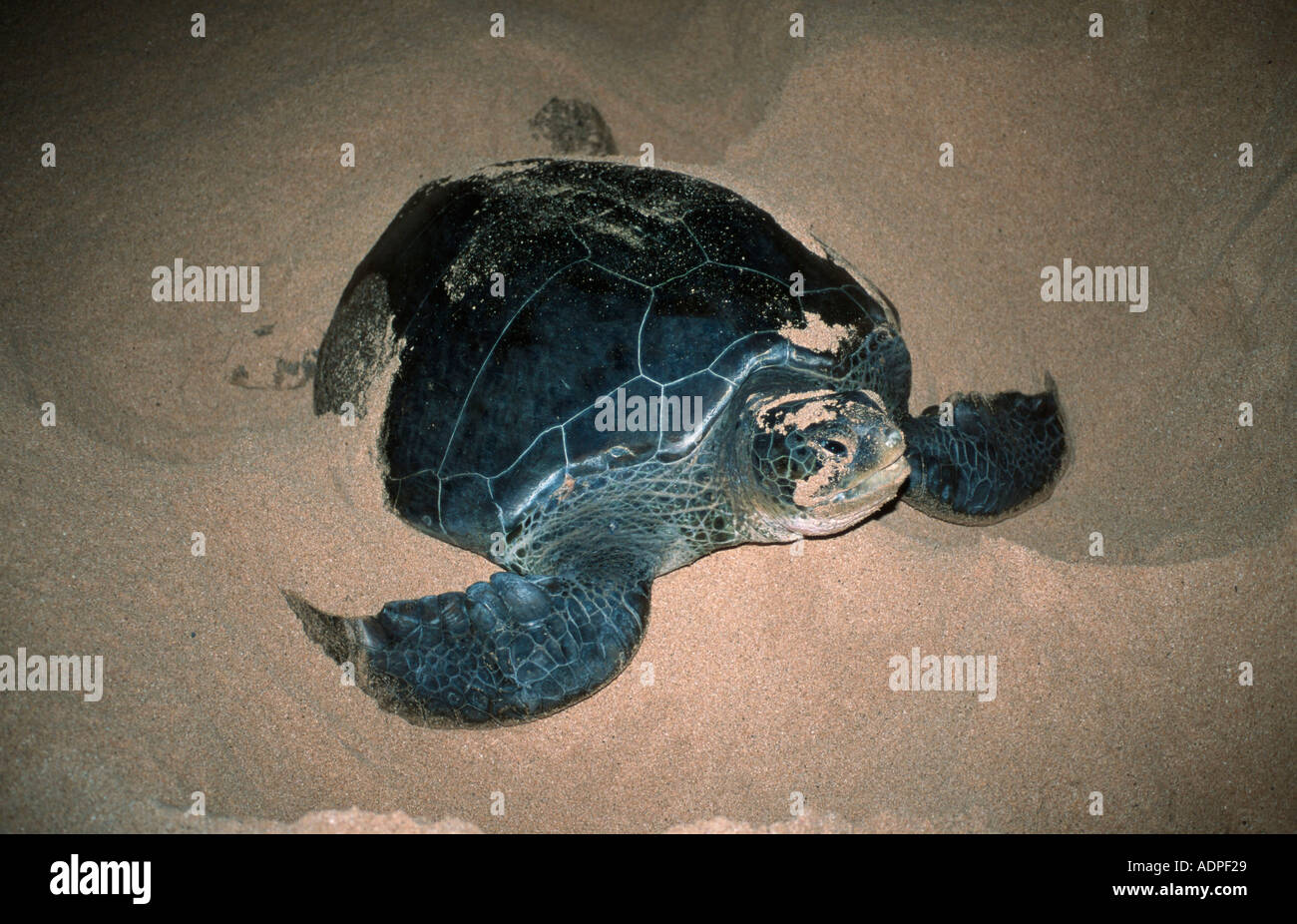 After ascension hi-res stock photography and images - Alamy