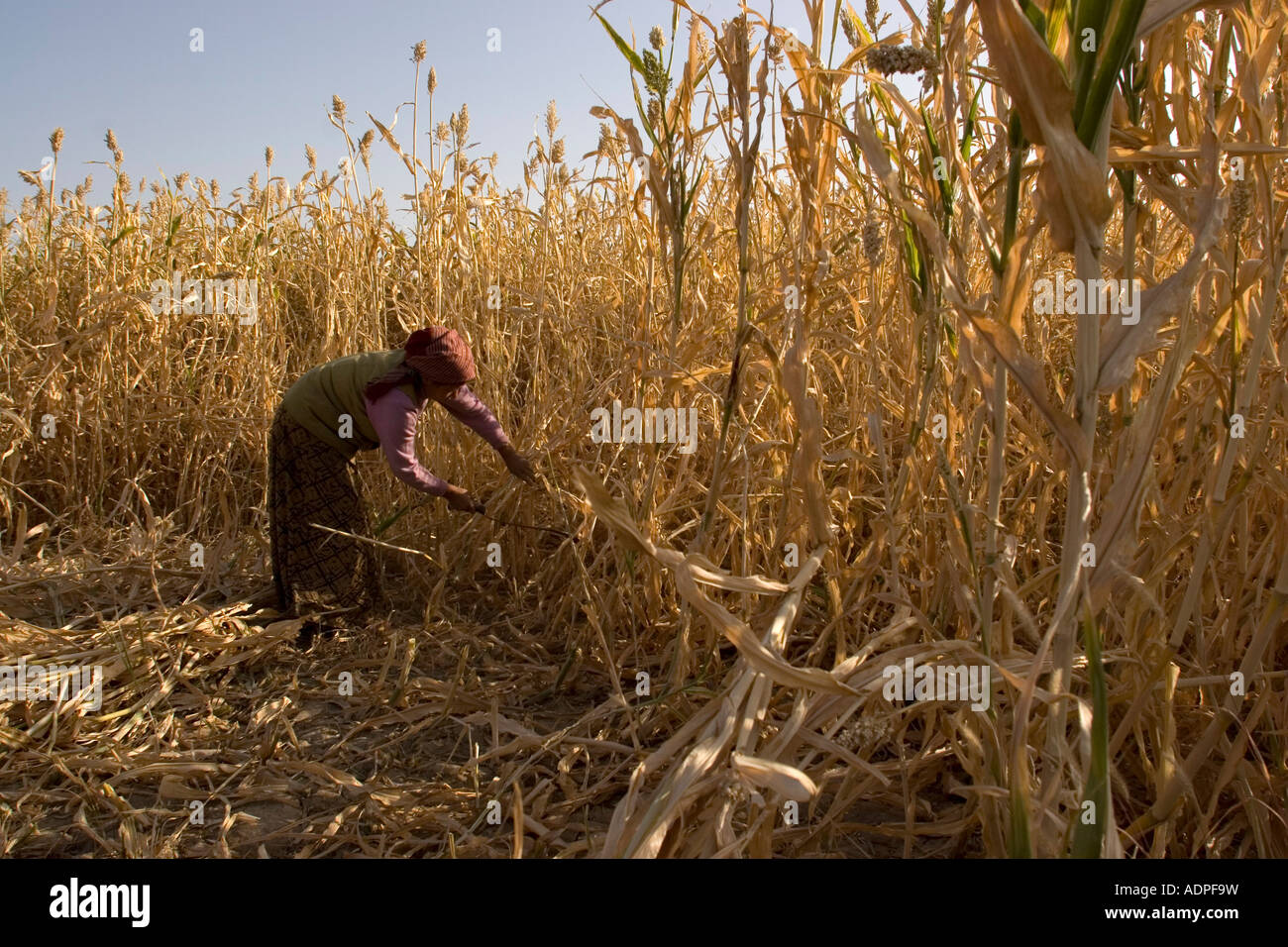 Uyghur woman turpan xinjiang hi-res stock photography and images - Alamy