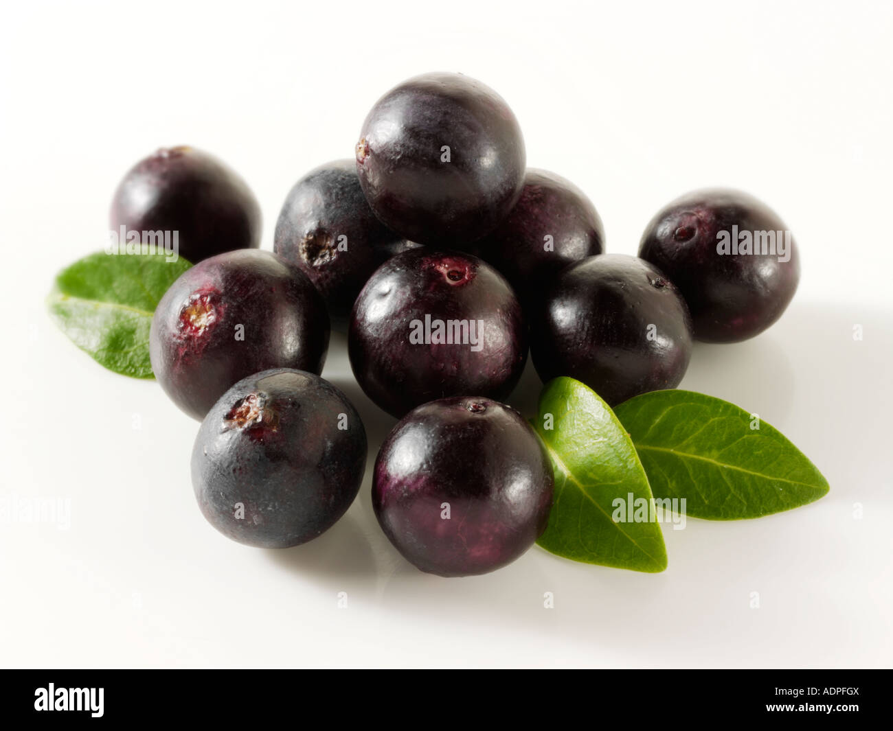Acai fruit hi-res stock photography and images - Alamy