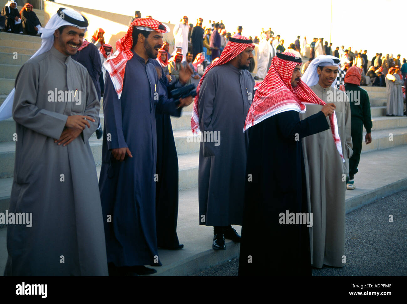 Kuwait horse hi-res stock photography and images - Alamy