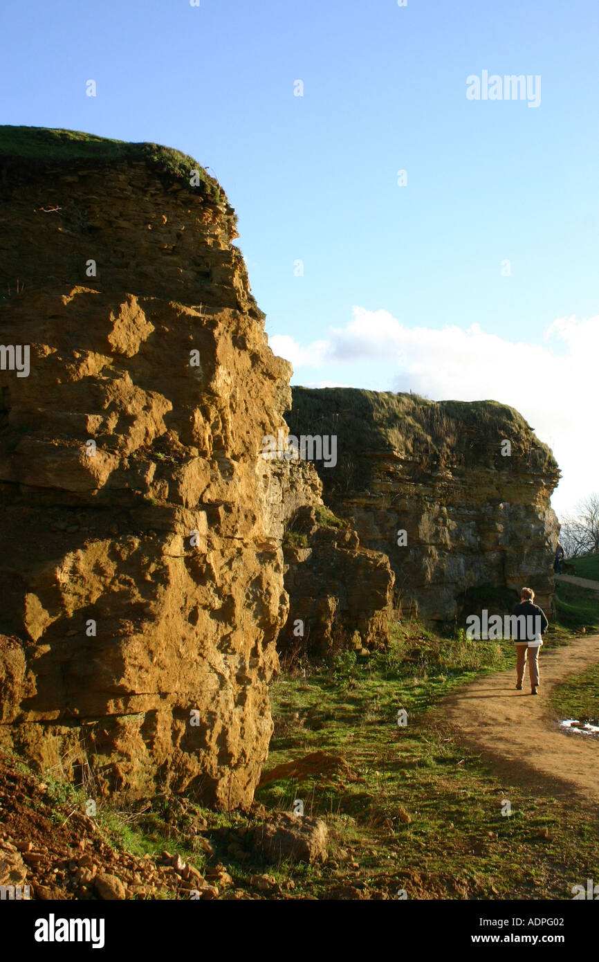 Hamstone rock in Somerset UK Stock Photo - Alamy