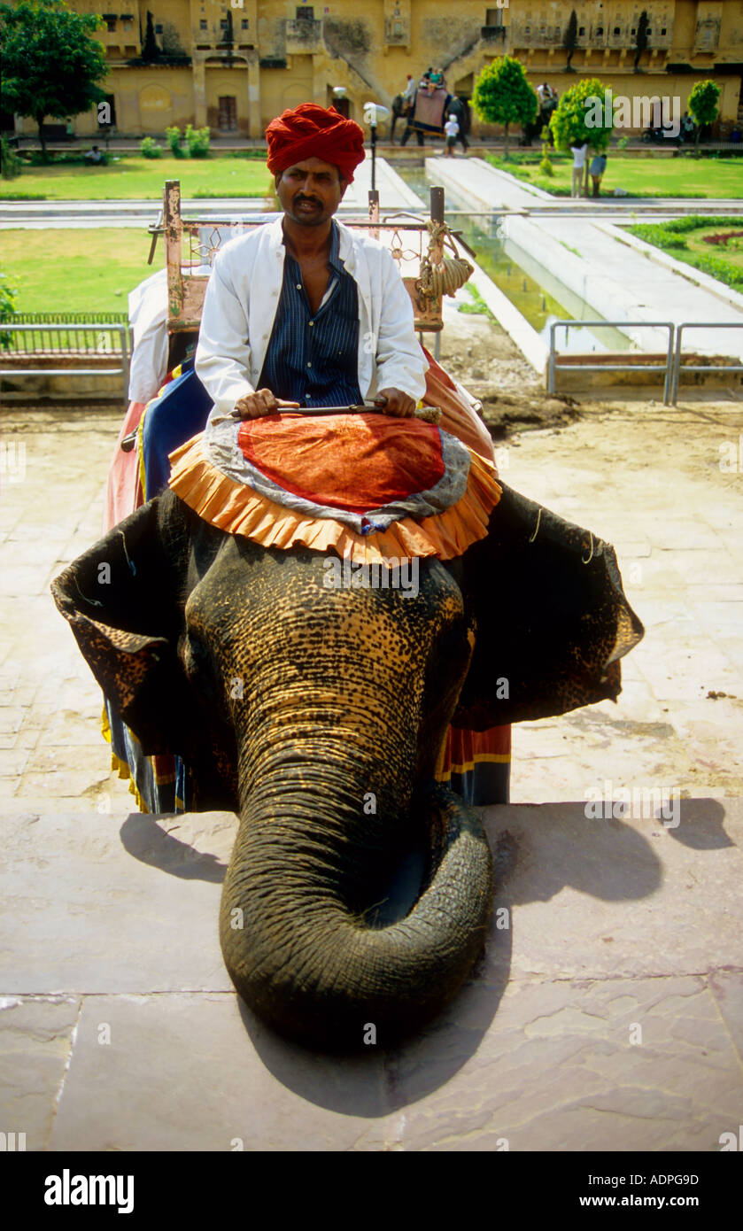 Elephant rider Amber Fort India Stock Photo - Alamy
