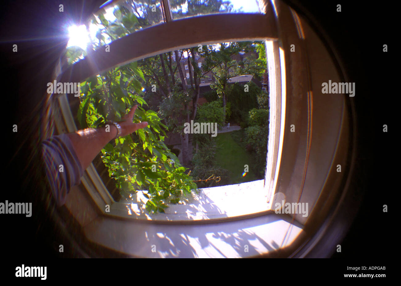 Wide green sash hi-res stock photography and images - Alamy