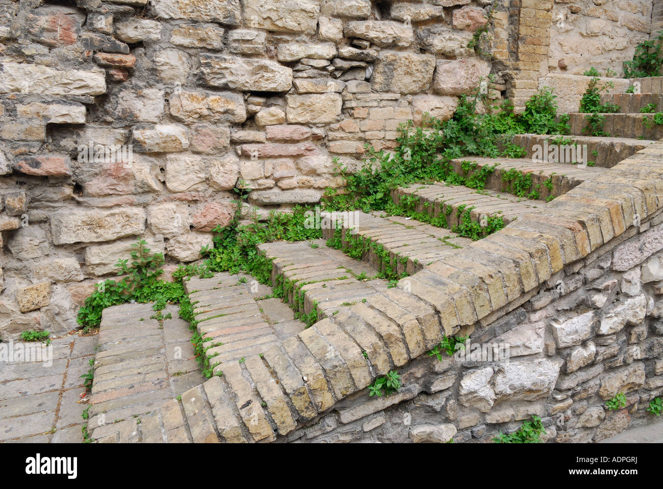 Overgrown ancient stone steps in city of Assisi Umbria Italy Stock ...