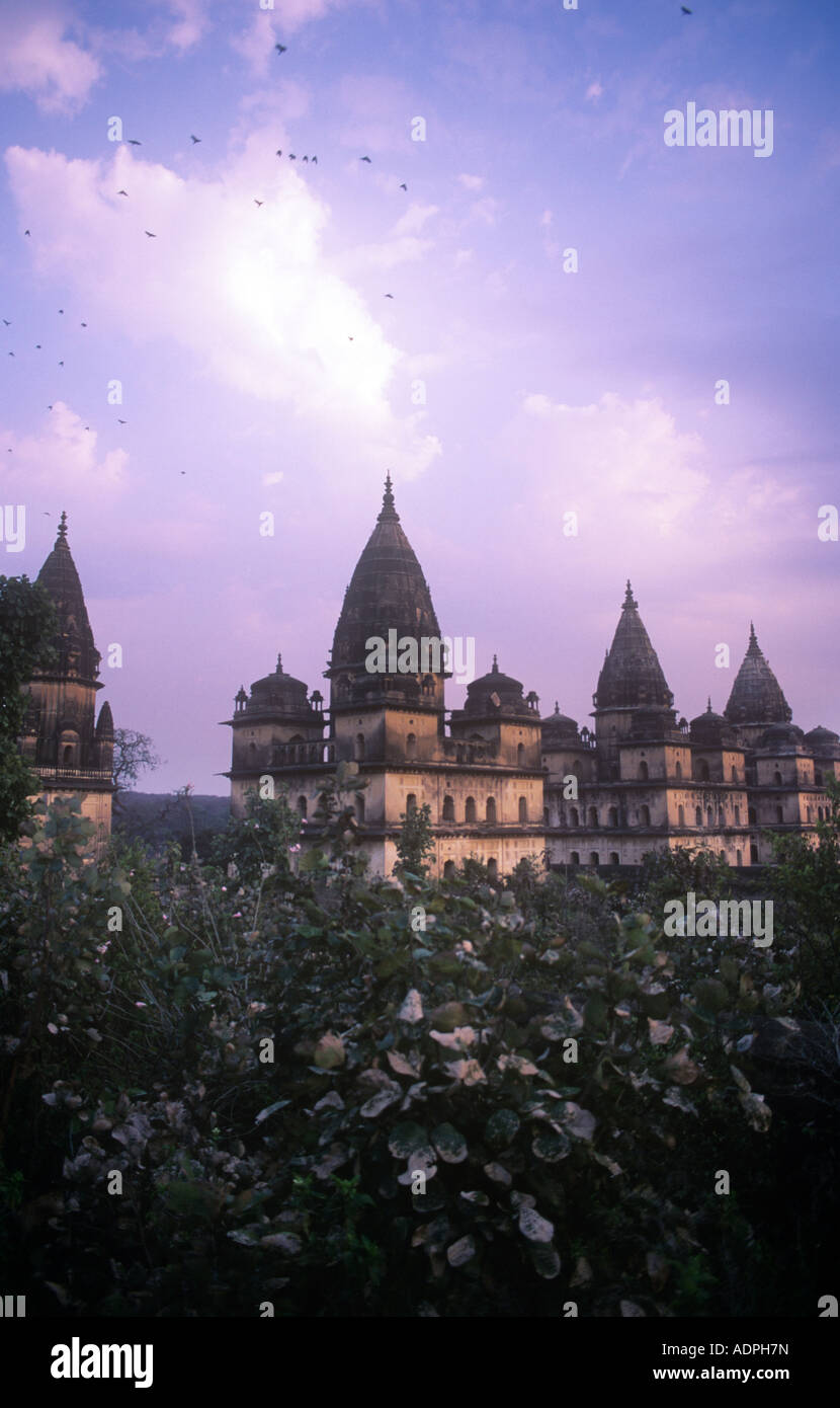 Chhatris of orcha hi-res stock photography and images - Alamy