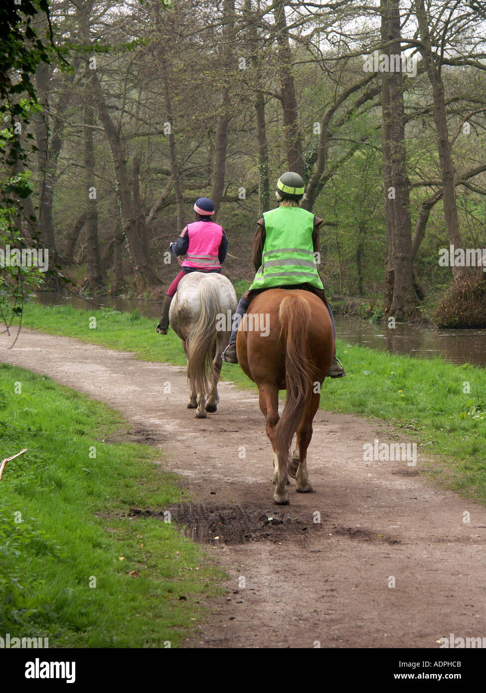 Two Horses with riders rear view , riding along a dirt track. Wearing ...