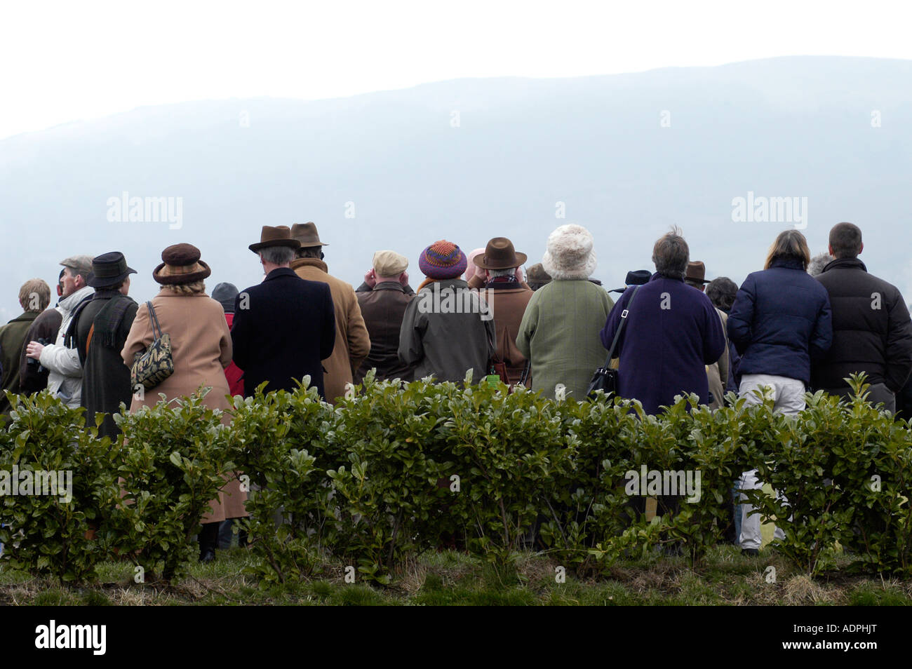 Rear view of Spectators at Cheltenham race course Stock Photo - Alamy