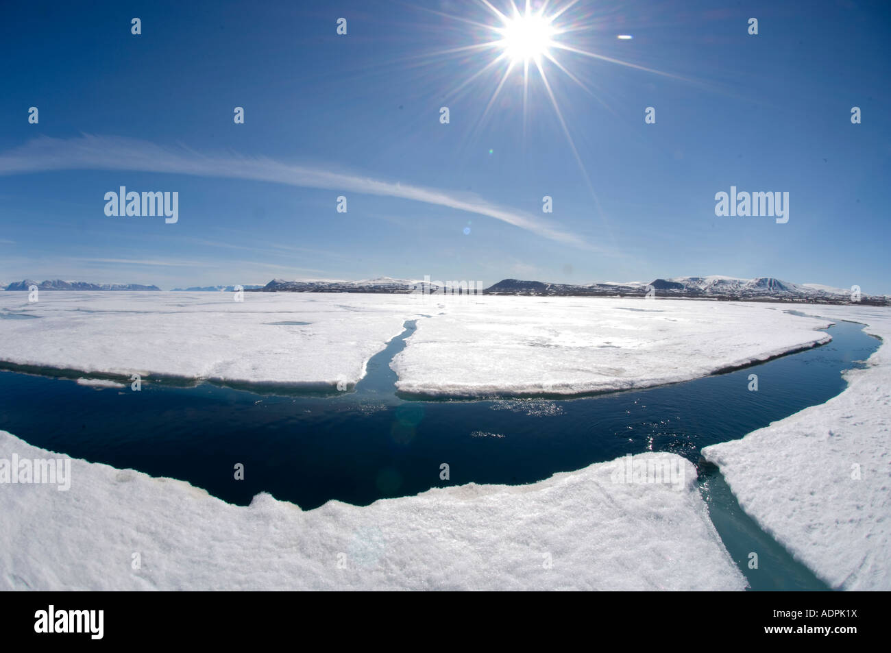 Spring lead hi-res stock photography and images - Alamy