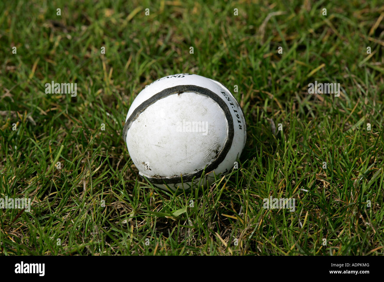 leather sliothar hurling ball lying on grass pitch Stock Photo - Alamy