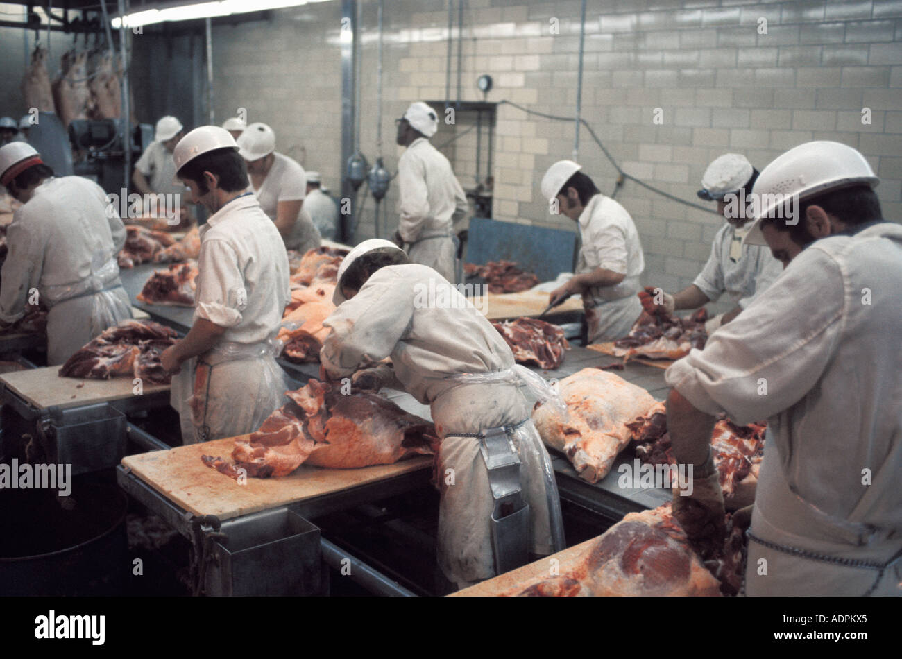 Workers inside a meatpacking factory Stock Photo - Alamy