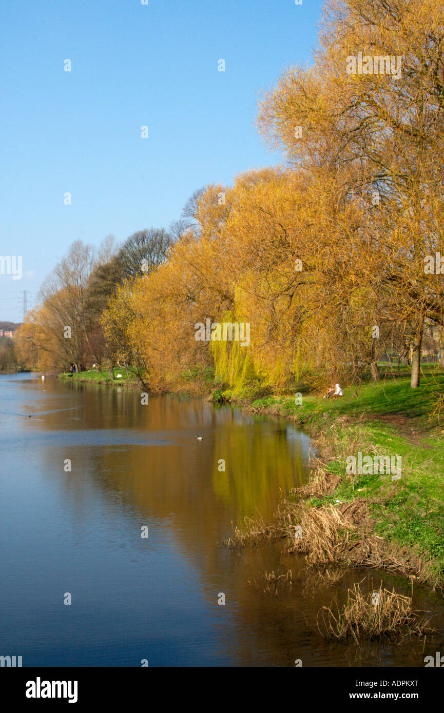 Kirkstall abbey river hi-res stock photography and images - Alamy