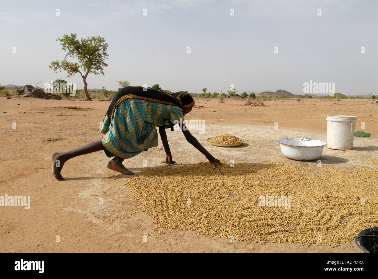 Africa.Chad .Hadger Habib .Woman drying millet Stock Photo - Alamy