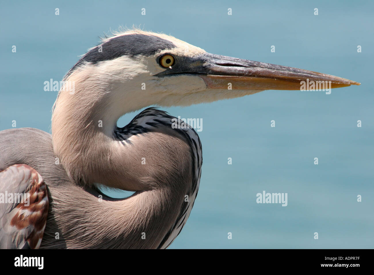 Miami Florida,Key Biscayne,Bill Baggs Cape Florida State Park,Biscayne ...