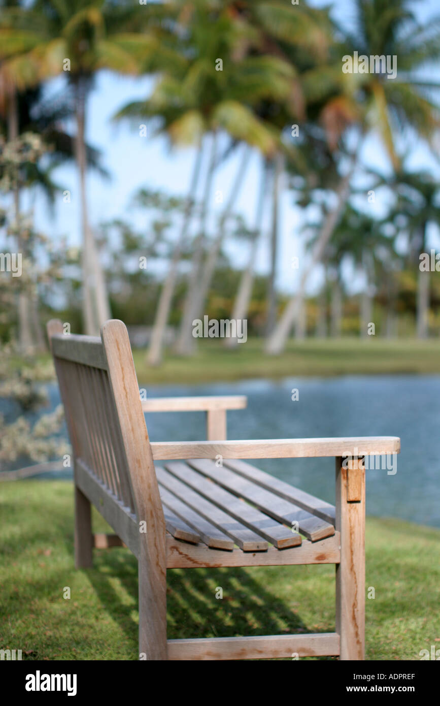 Florida, bench, seat, relax, retirement, water, pond, lake, grass ...