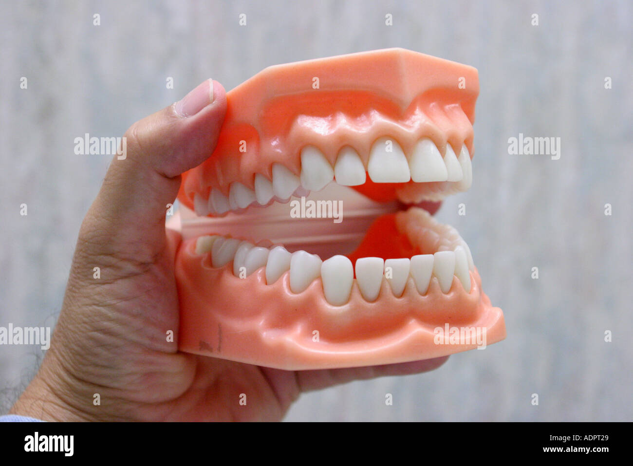 North Miami Beach Florida,Kmart Big-Box Dental Office,plastic human ...