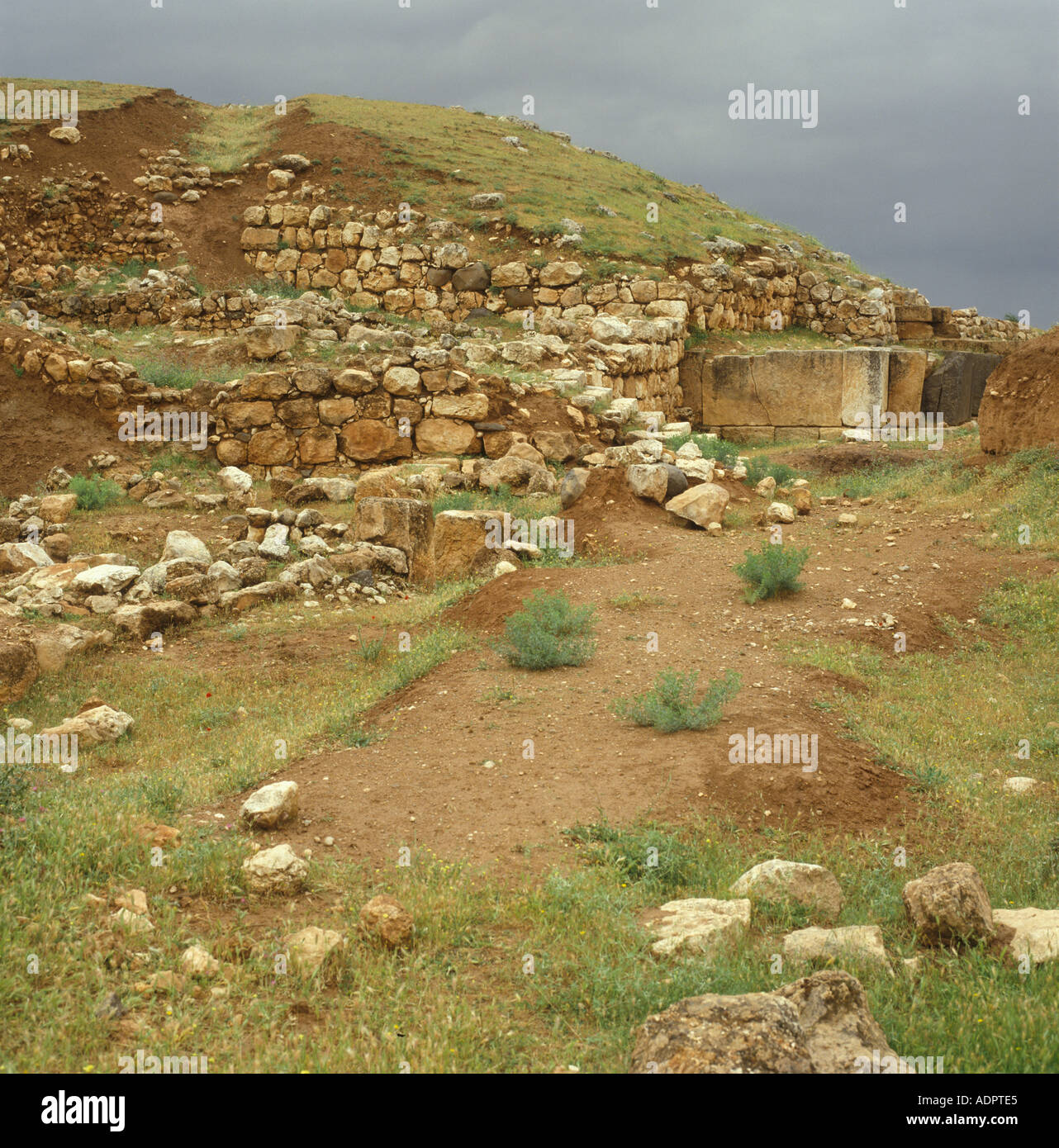 Ebla High Resolution Stock Photography and Images - Alamy