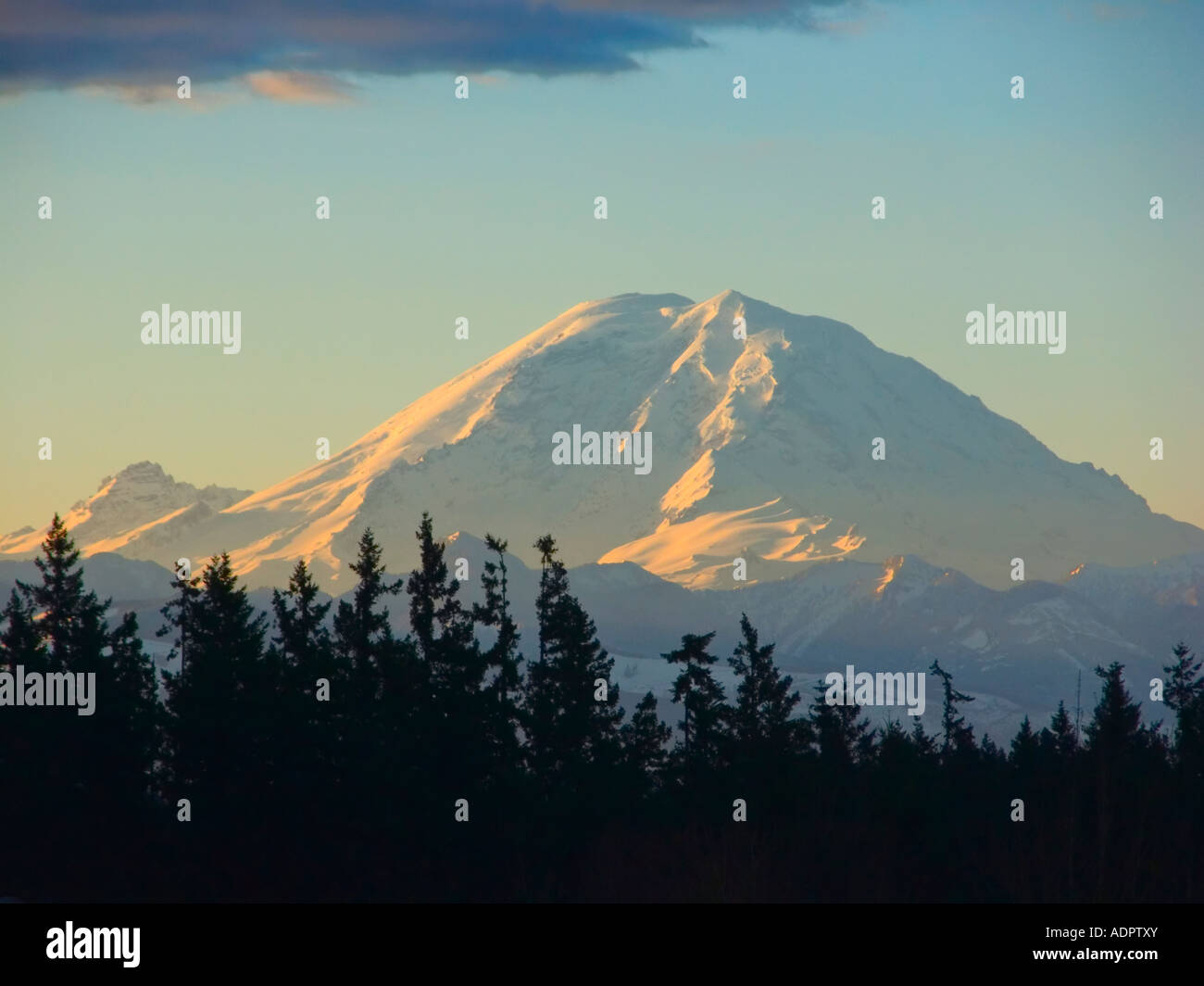 Rainier and Spring Dawn 1 Stock Photo - Alamy