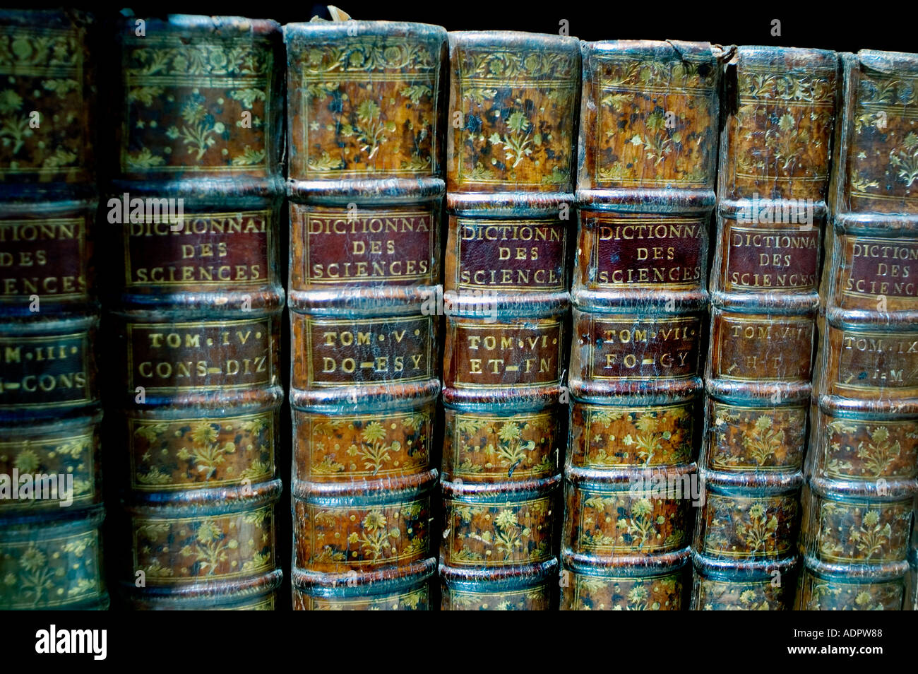 Education Antique Old Collectible Books on Bookshelf Science Dictionary ...