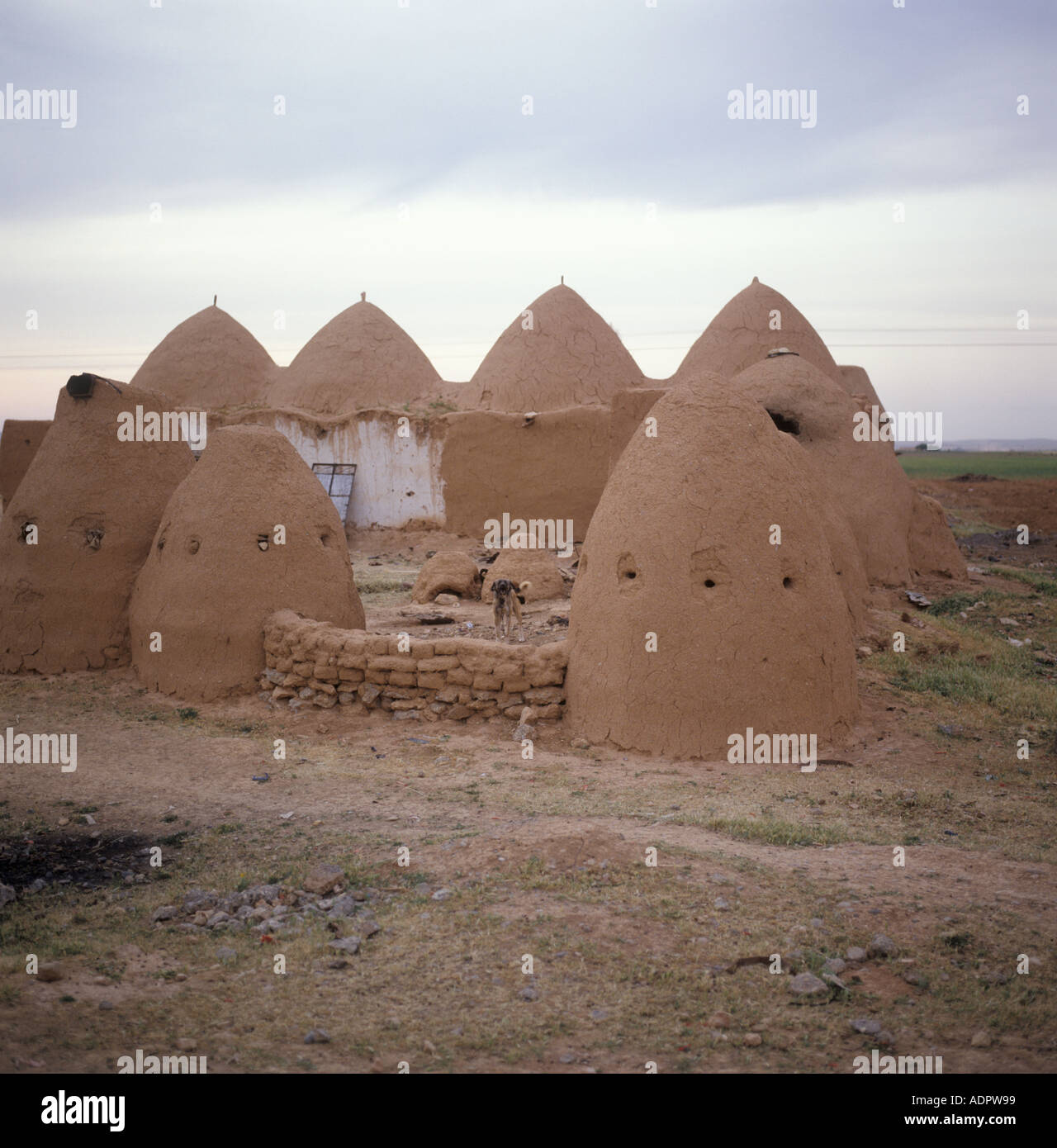 Mud House Syria High Resolution Stock Photography and Images - Alamy