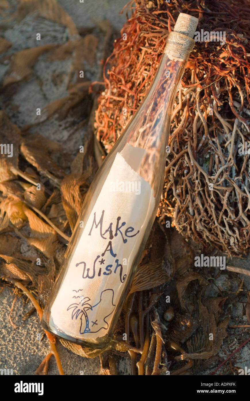 Bottle washed up on the beach with make a wish message and treasure map ...