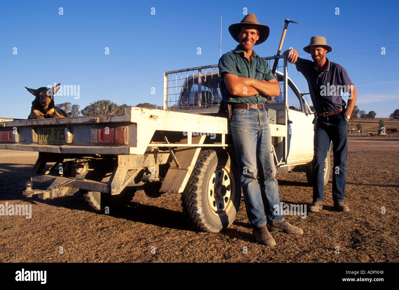 Australia New South Wales MR Ranch hands Steve Boyd Peter Coble work at ...