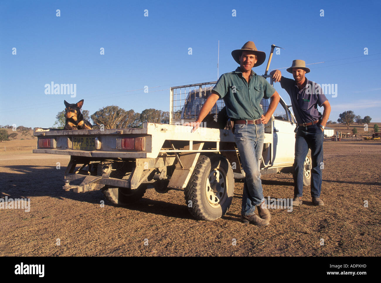 Australia New South Wales MR Ranch hands Steve Boyd Peter Coble work at ...