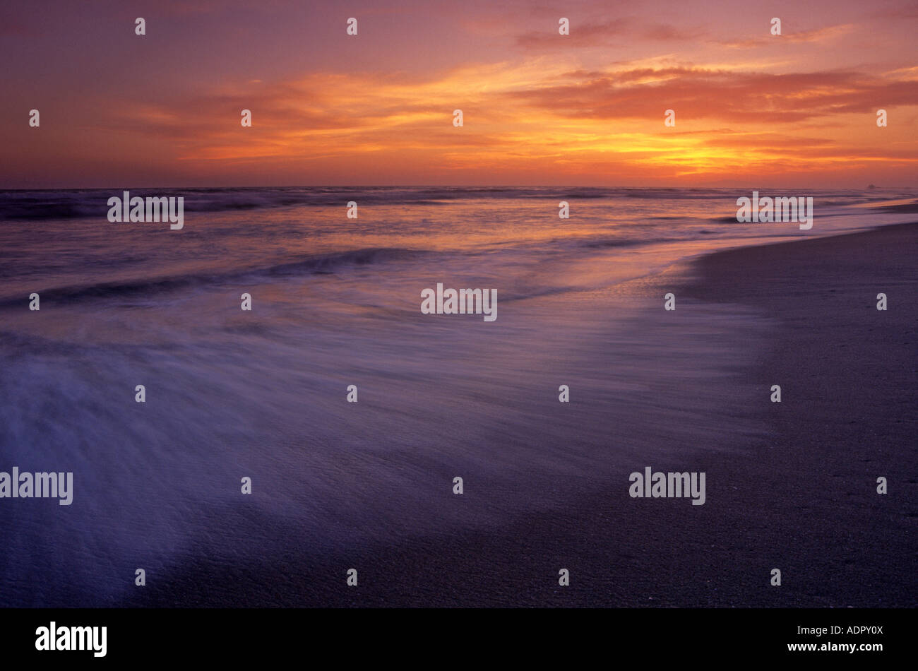 Huntington beach state park hi-res stock photography and images - Alamy