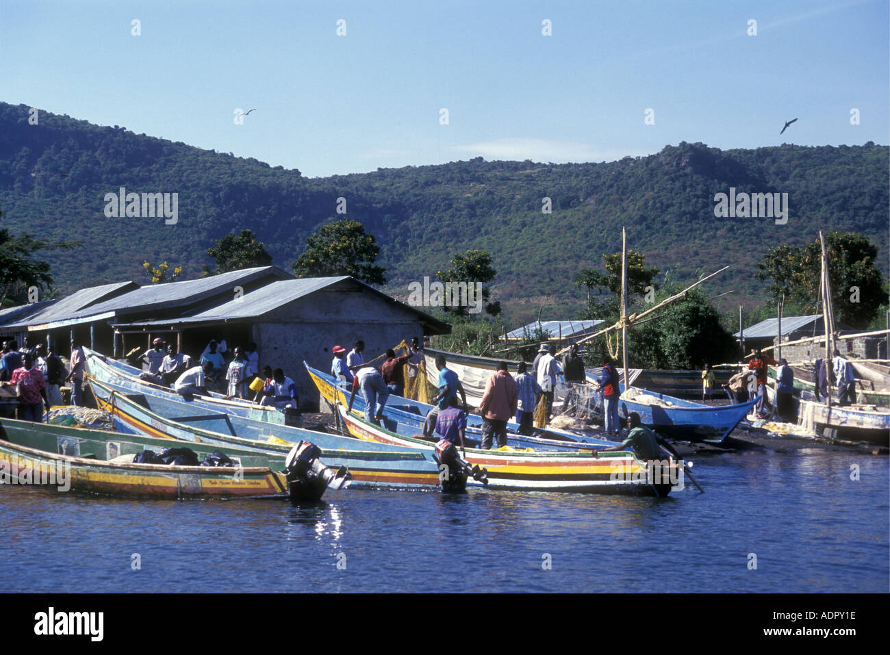 Luo fishing boats on the shore near a fishing village on Mfangano ...