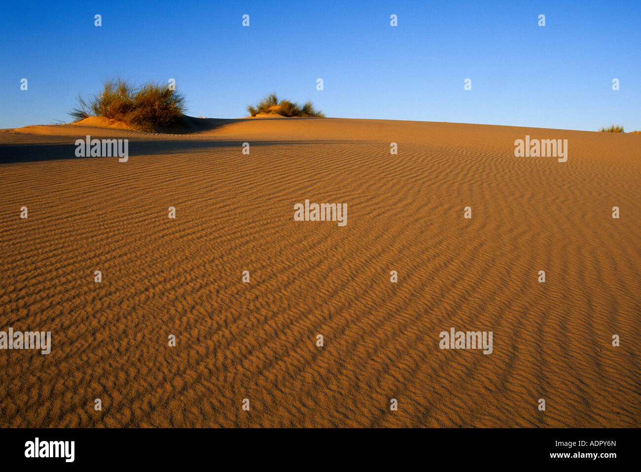 Imperial Sand Dunes National Recreation Area in southern California ...