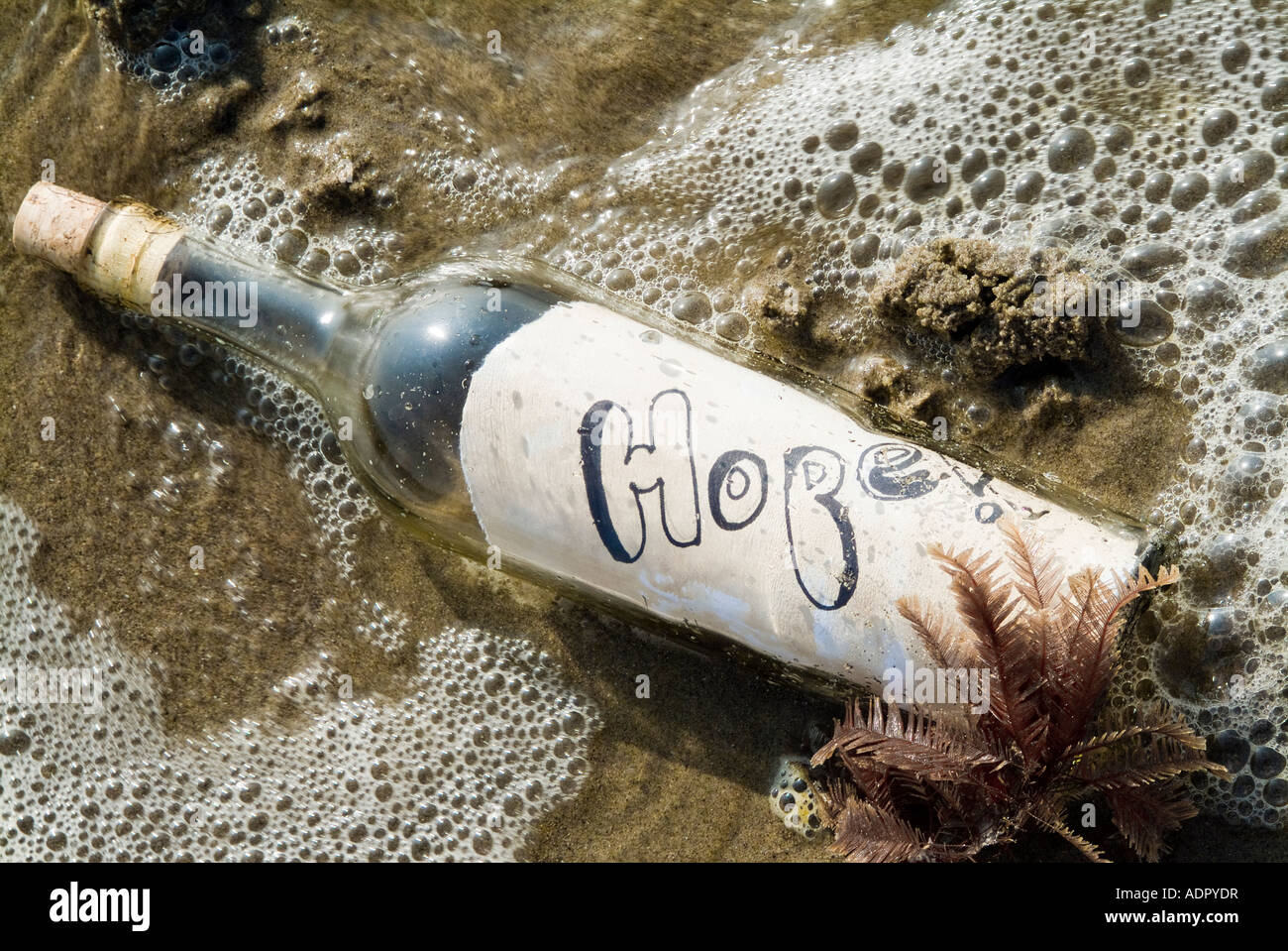 Bottle washed up on the beach with a message of hope depicting the ...