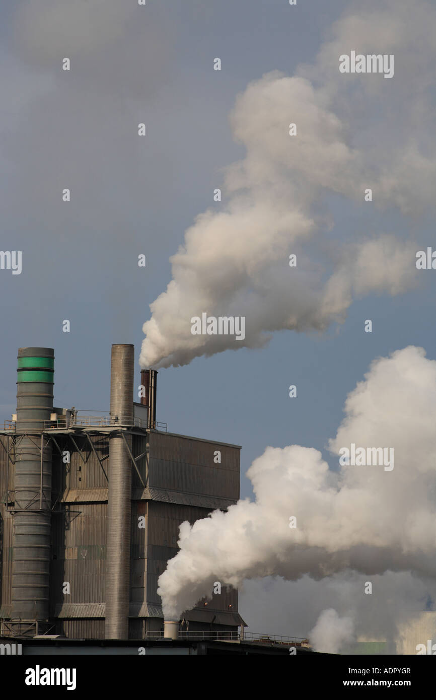 Pulp and paper hi-res stock photography and images - Alamy