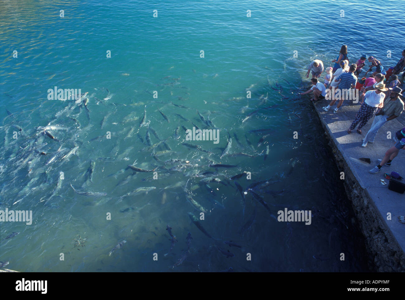 Doctors gully darwin hi-res stock photography and images - Alamy