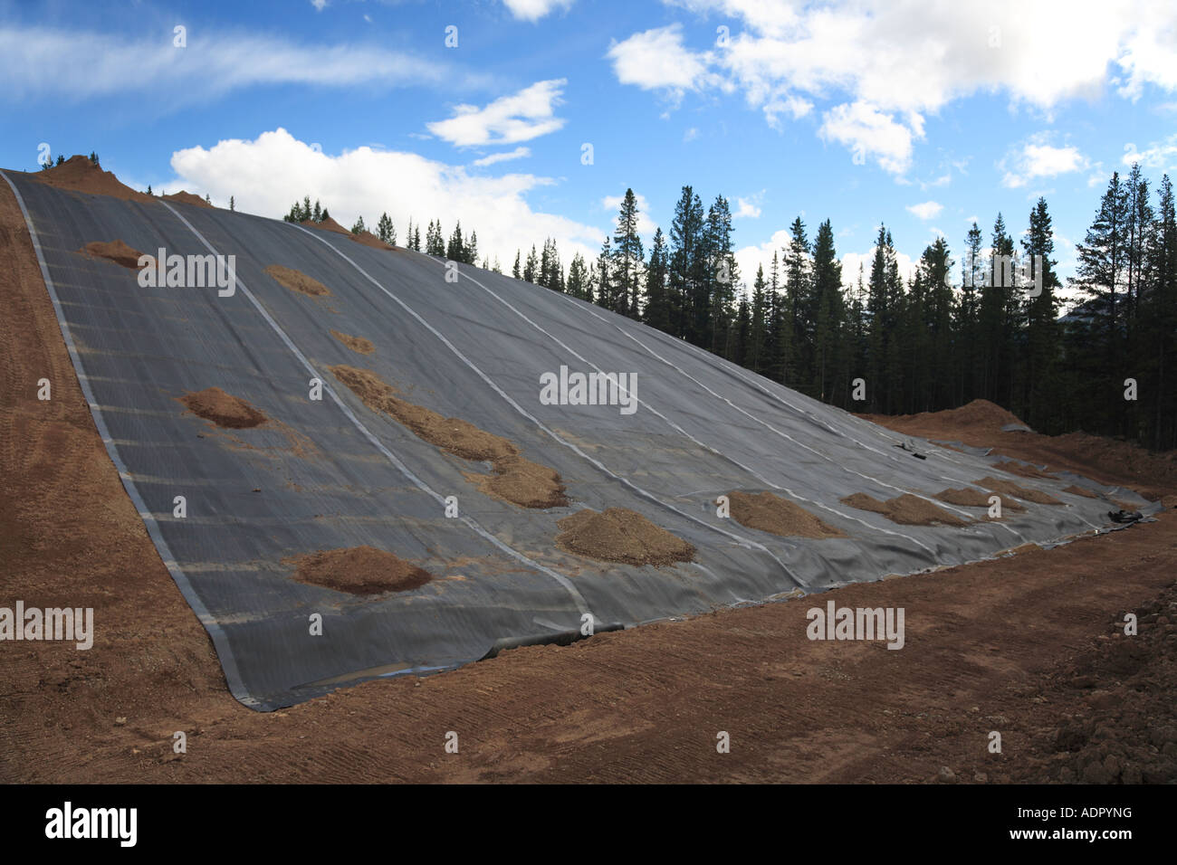 Old mine waste rock rehabilitation Duthie Mine Smithers British ...