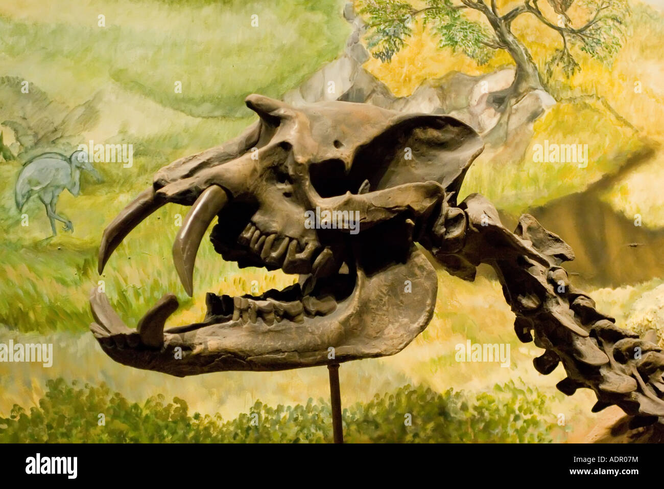 astrapotherium Stock Photo - Alamy