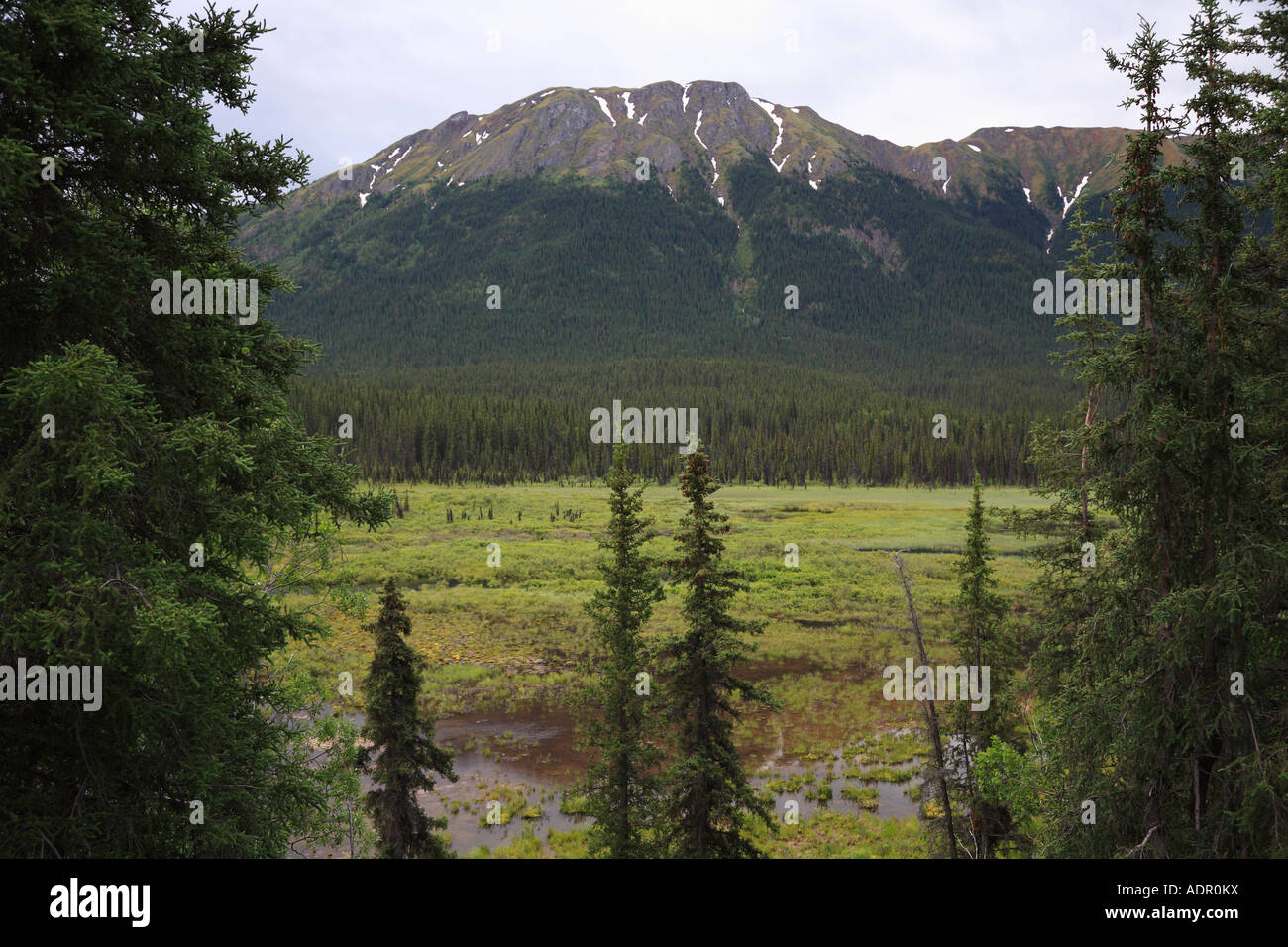 Iskut hi-res stock photography and images - Alamy