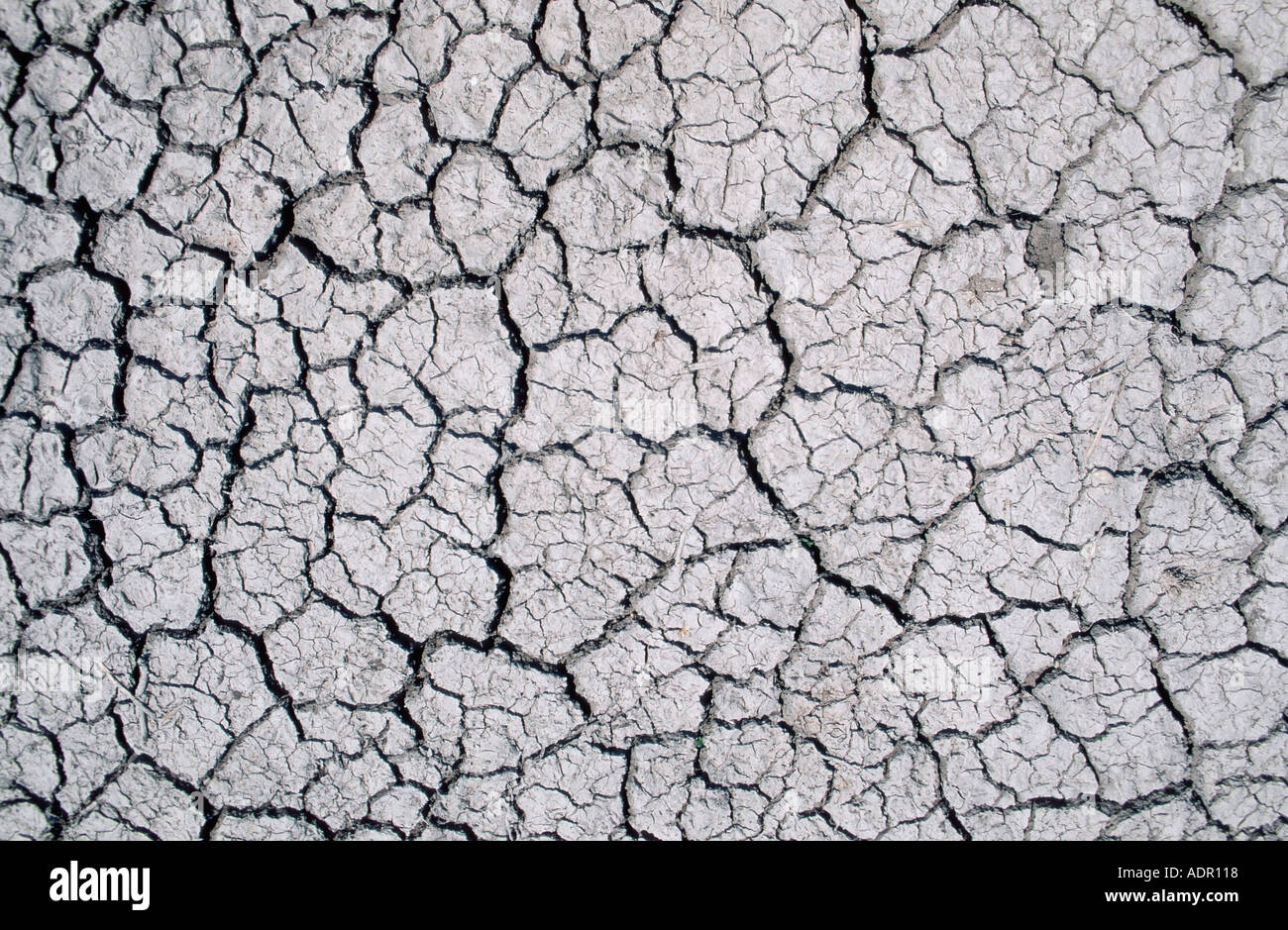Dried out earth Stock Photo - Alamy